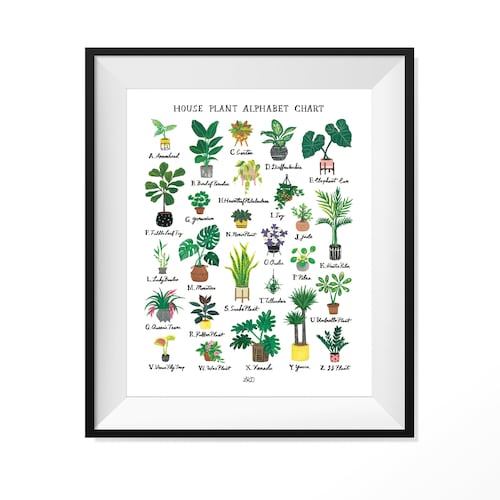 Cactus & Succulent Alphabet Chart Art Print - Etsy