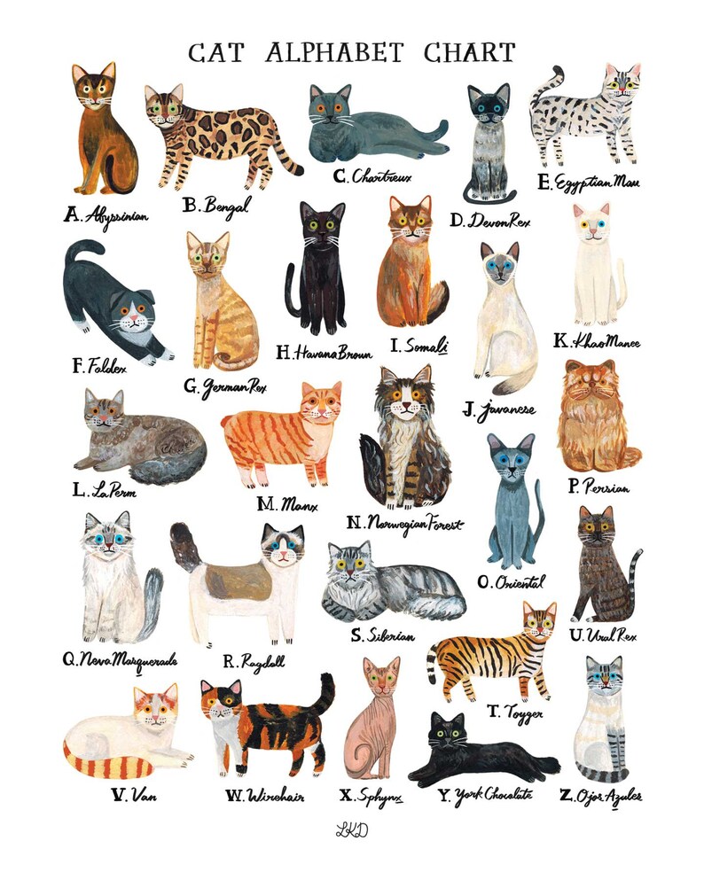 Cat Alphabet Chart Art Print - Etsy