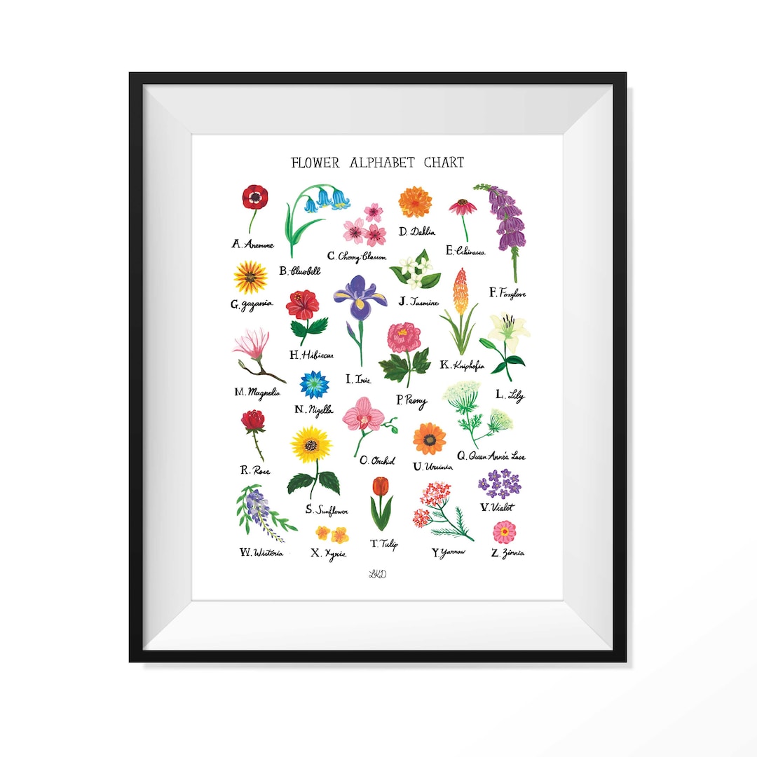 Flower Alphabet Chart Art Print - Etsy