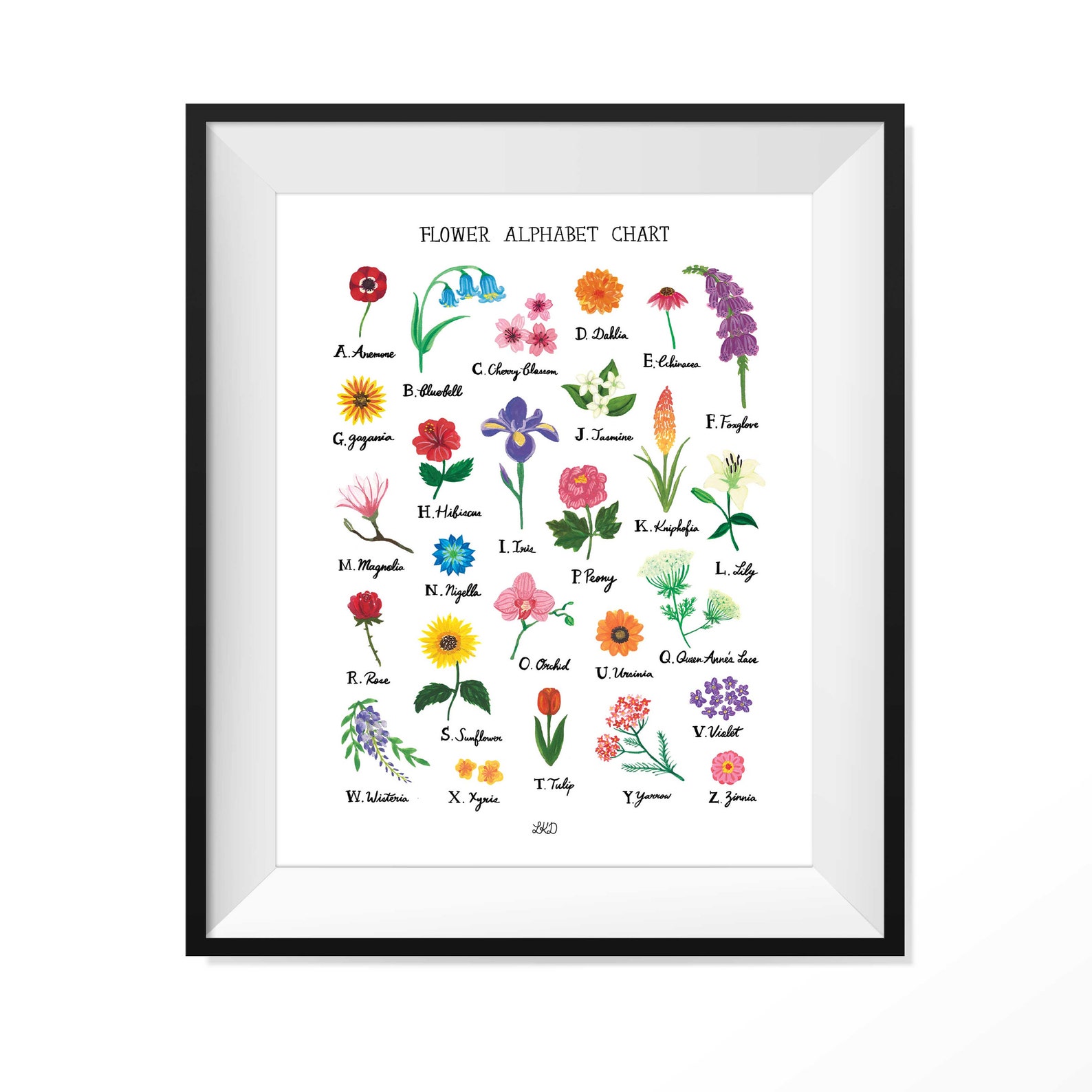 Flower Alphabet Chart Art Print | Etsy