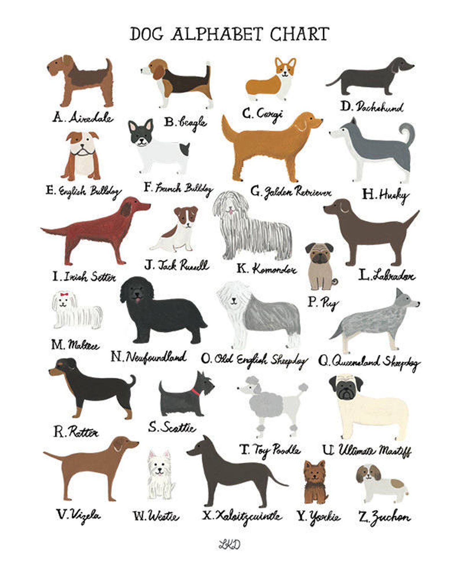 Dog Alphabet Chart Poster 18x24 | Etsy
