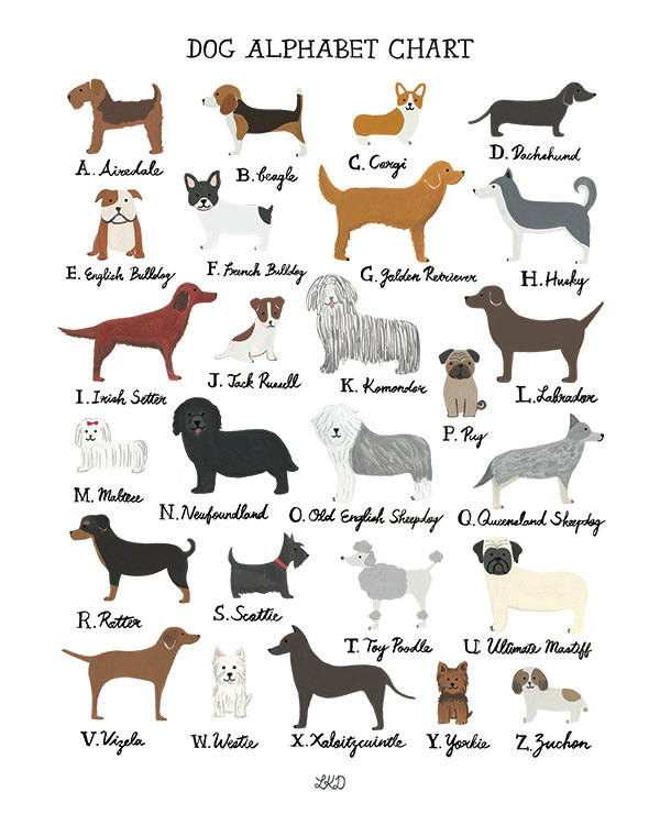 Digital Prints Canadian Wildlife Alphabet Chart Poster 18x24 Prints ...