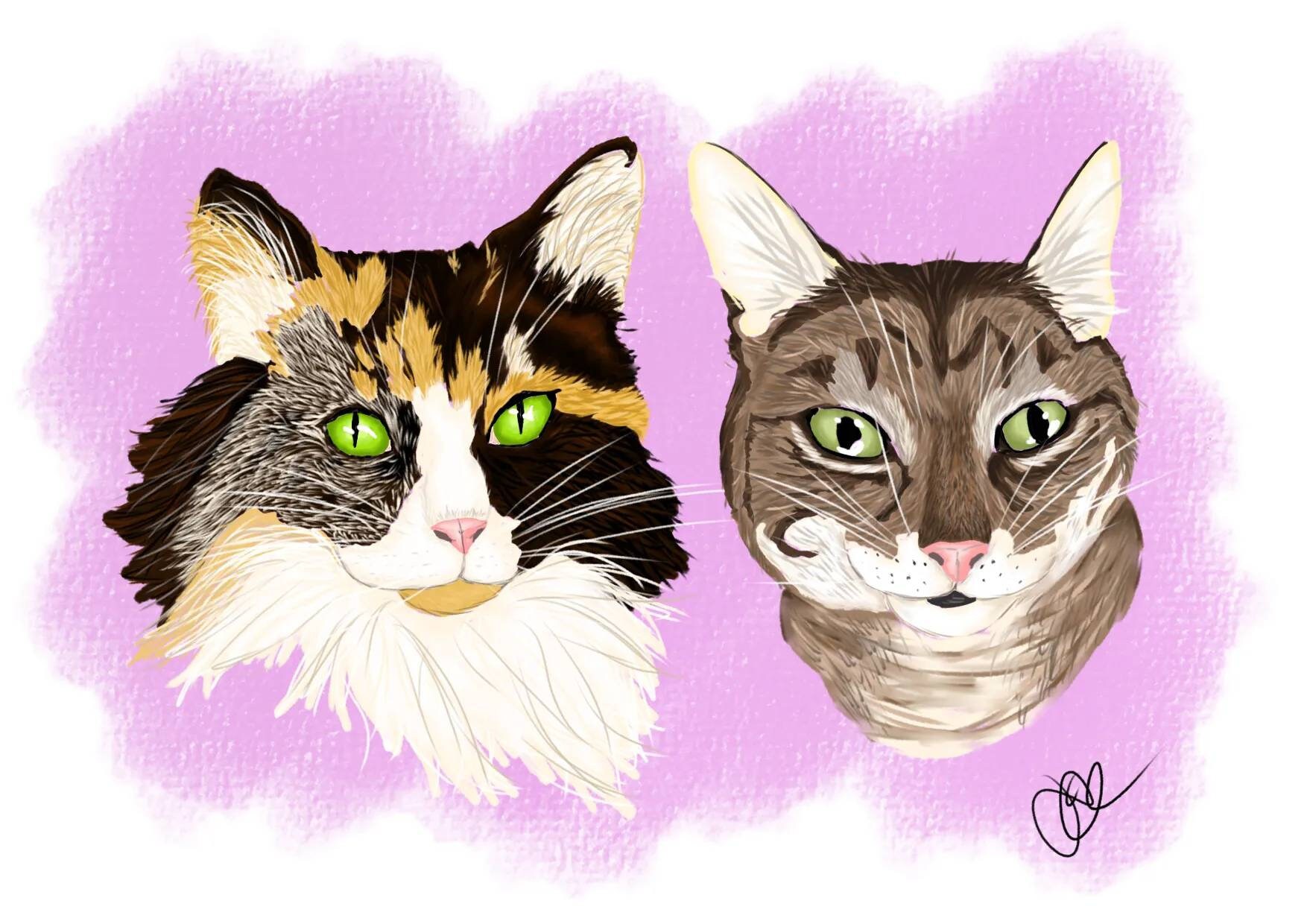 Hand Drawing of Your Pet Hand Drawn / Digital File / Dog / - Etsy