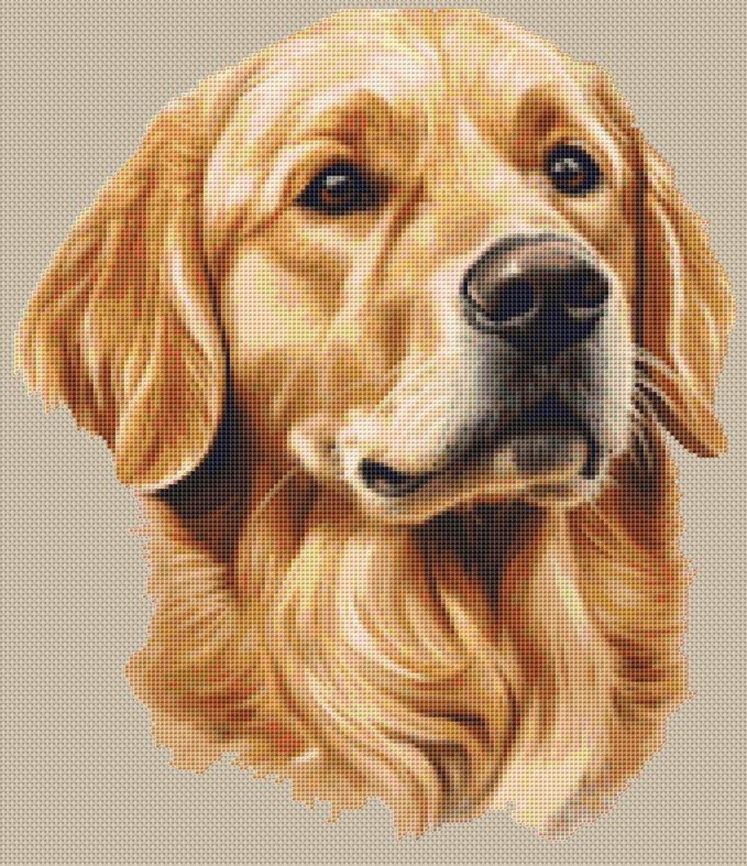 Golden Retriever Cross Stitch Pattern - Etsy