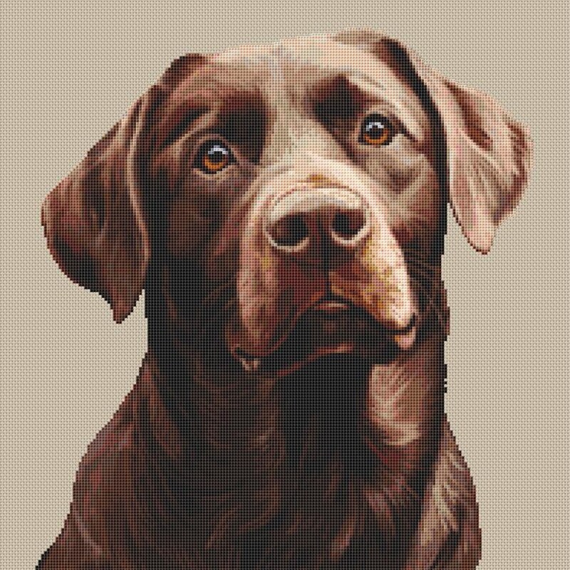 Chocolate Labrador - Etsy