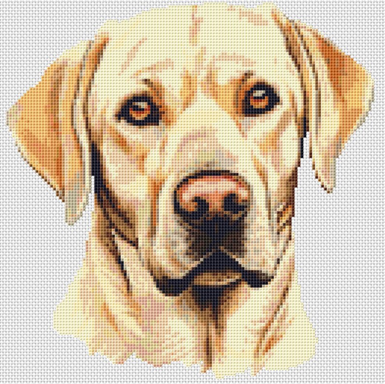 Yellow Labrador Retriever Cross Stitch Pattern - Etsy