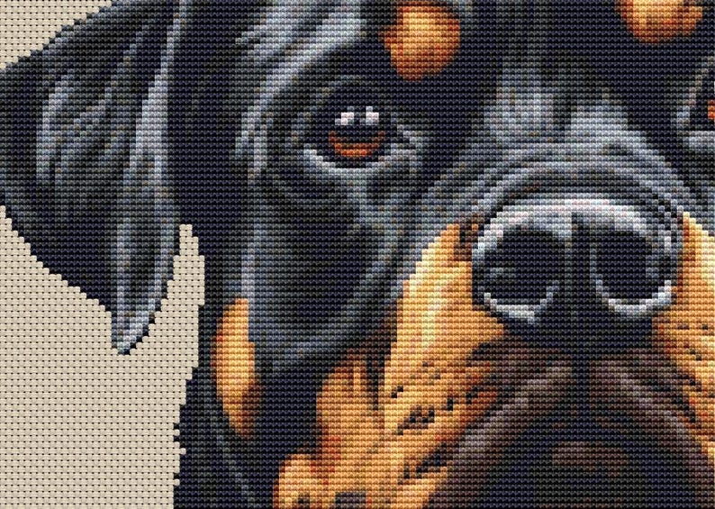 Rottweiler Cross Stitch Pattern - Etsy