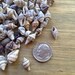 Tiny Shells Genuine All Natural Mini/small Sea Shells Craft Shells ...