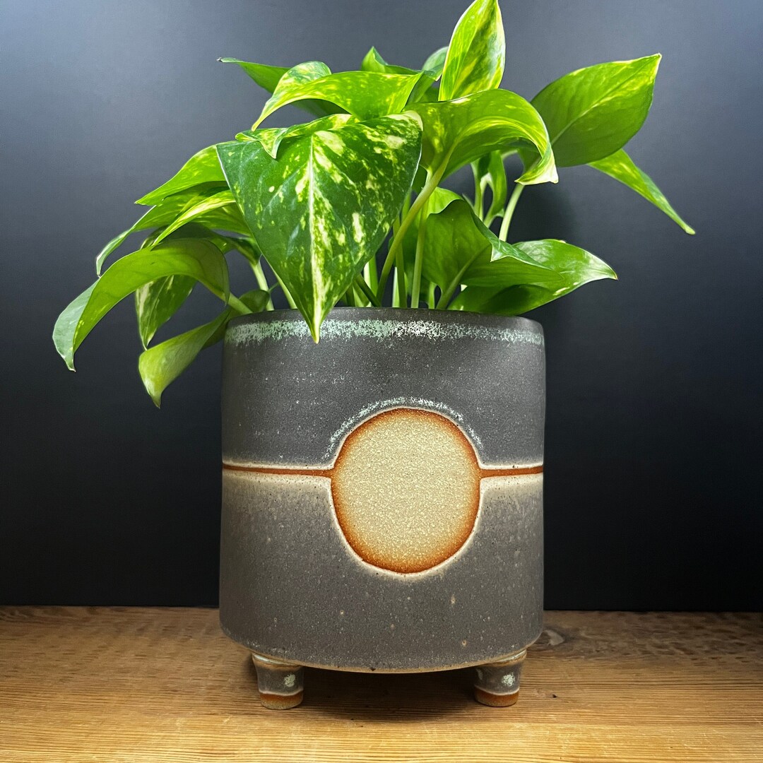 Dot Planter - Etsy