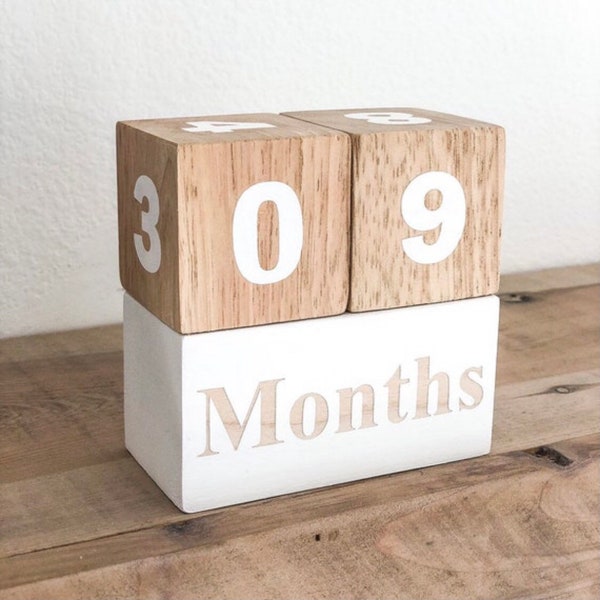 Milestone Blocks - Etsy