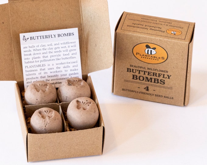 Butterfly Bombs - Box of 4 Wildflower Seed Balls for Butterflies - Etsy