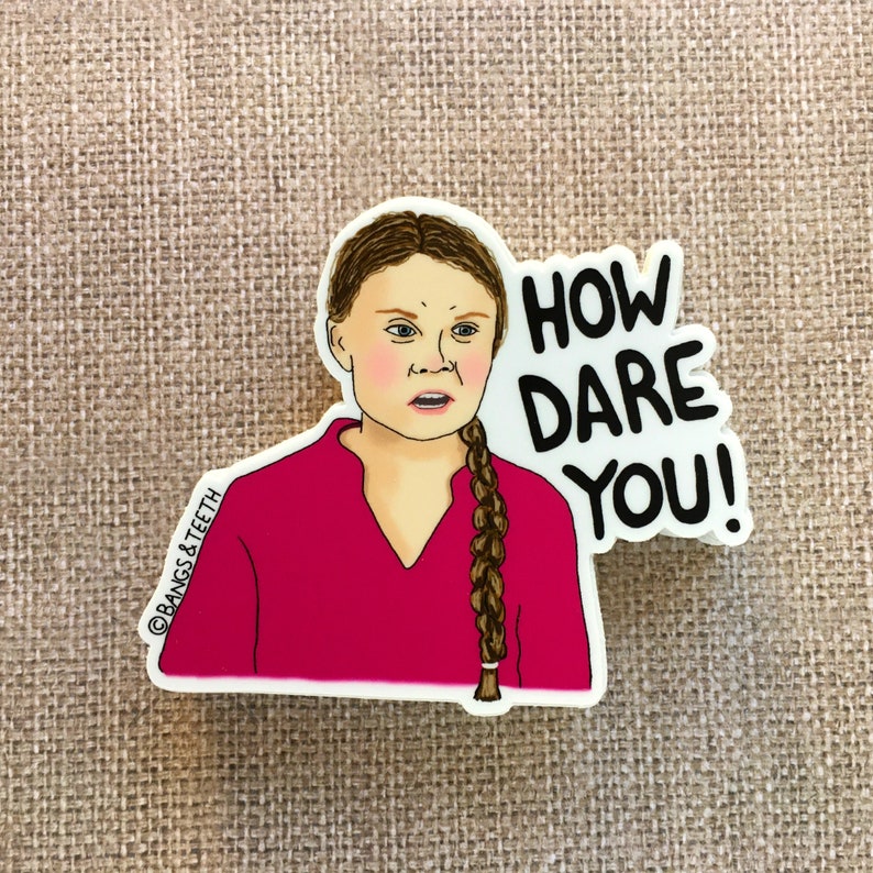Greta Thunberg Vinyl Sticker Climate Change Sticker Climate | Etsy