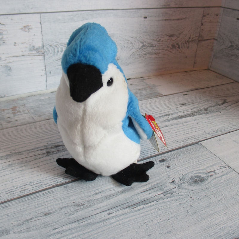 Baby Blue Jay - Etsy