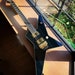 Kelly Shape Guitar Cnc Routing Plans. Bolt On, 3 Files Types for Cnc ...