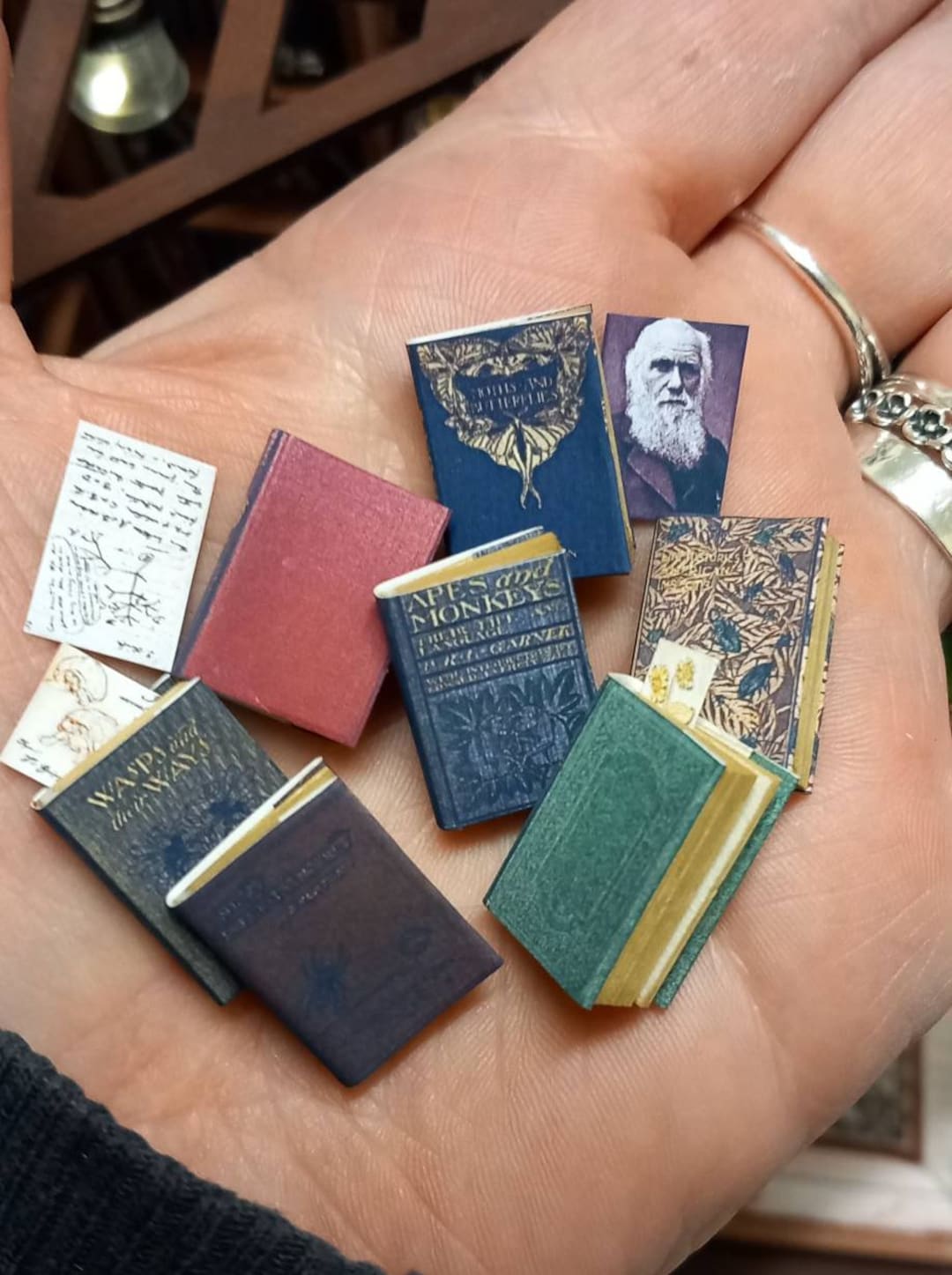 Charles Darwin Antique Replica Book Set in 1.12 Scale Miniature. - Etsy