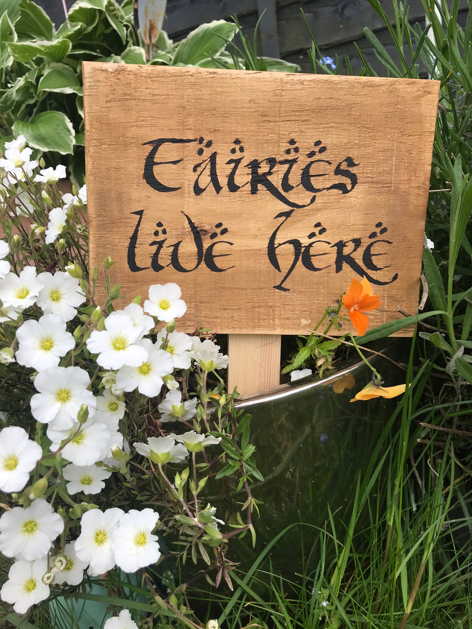 Fairy Garden Sign, Fairy Garden Decor, Fairies Live Here Sign, Rustic ...