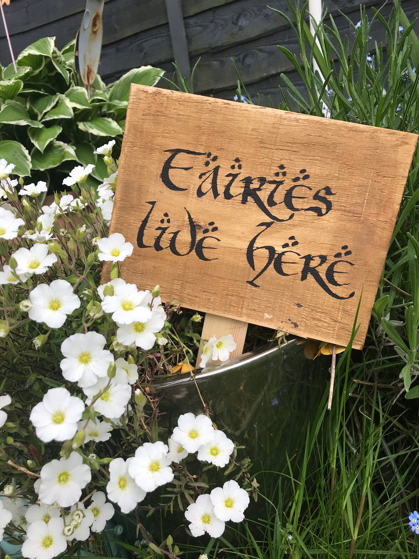 Fairy Garden Sign Fairy Garden Decor Fairies Live Here Sign - Etsy UK