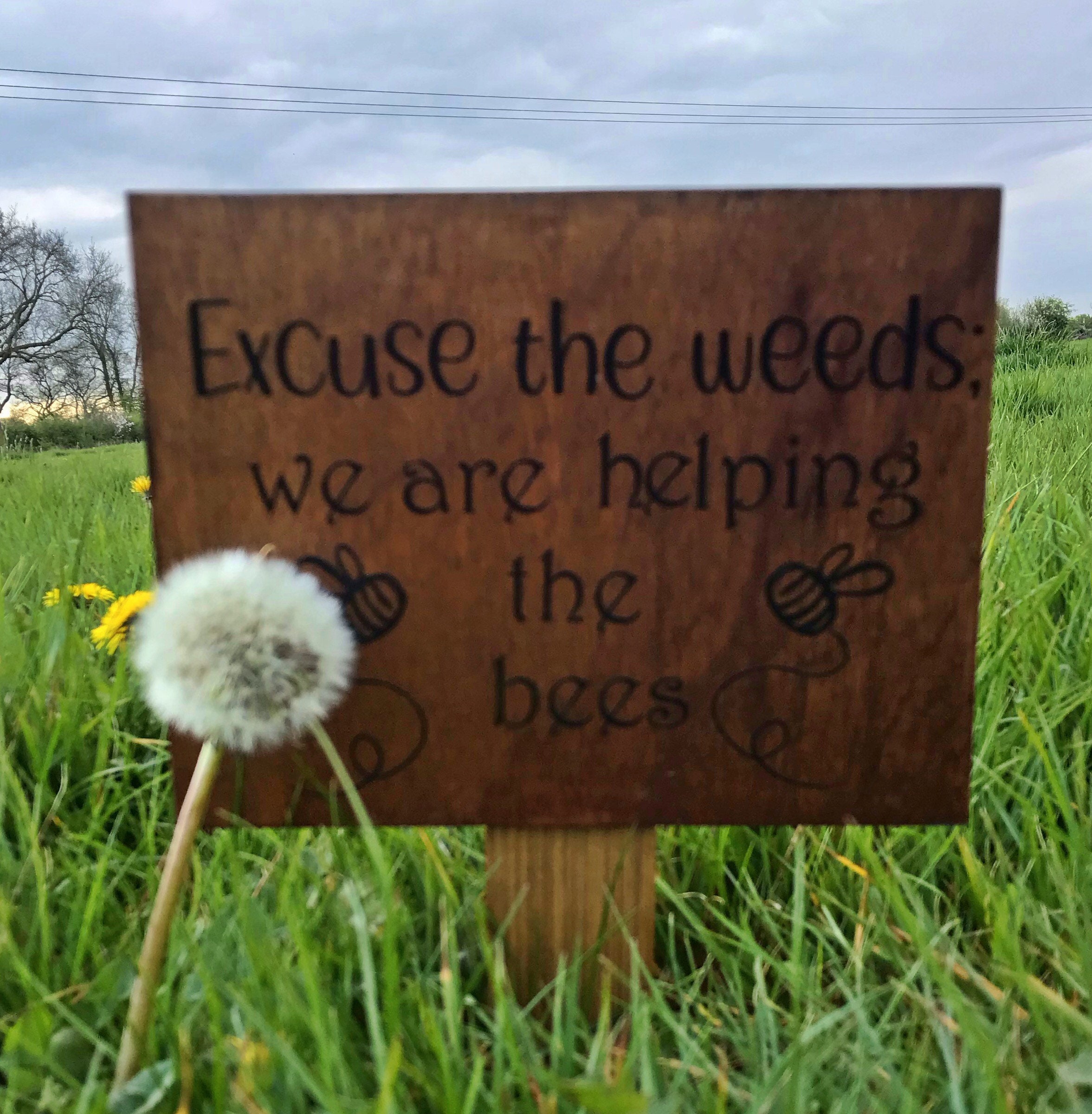 Garden Decor Excuse the Weeds We Are Helping the Bees Love - Etsy