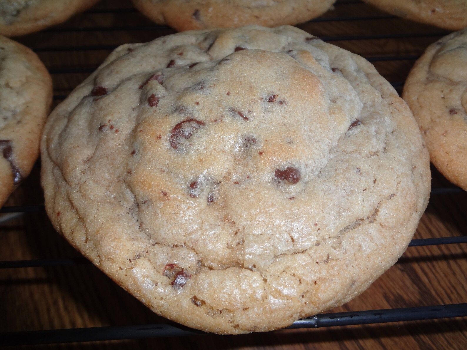 HUGE Homemade Half Pound Chocolate Chip Cookies choice of Quantity - Etsy
