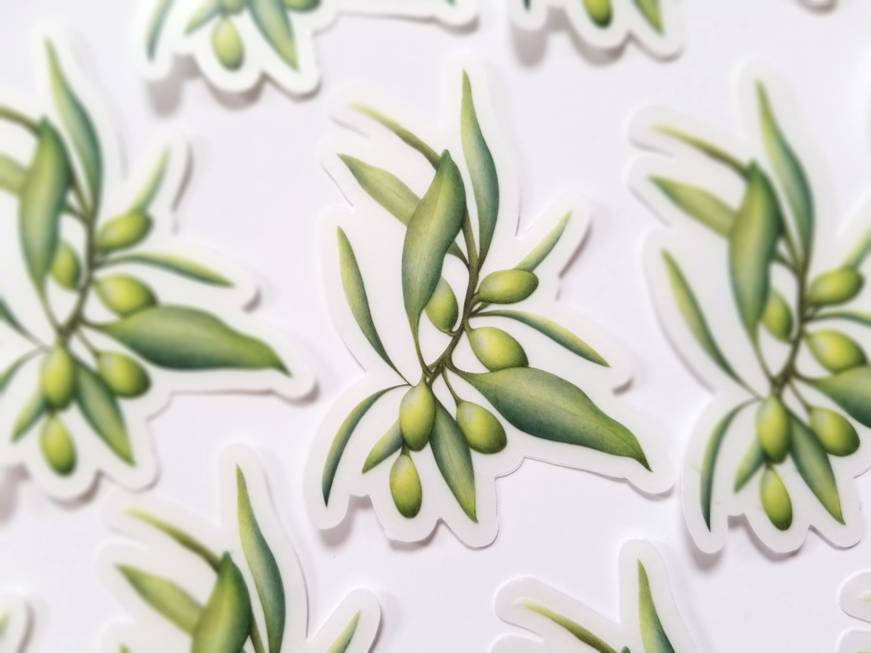 Olive Tree Branch CLEAR Vinyl Sticker, Olive Illustration, Nature ...