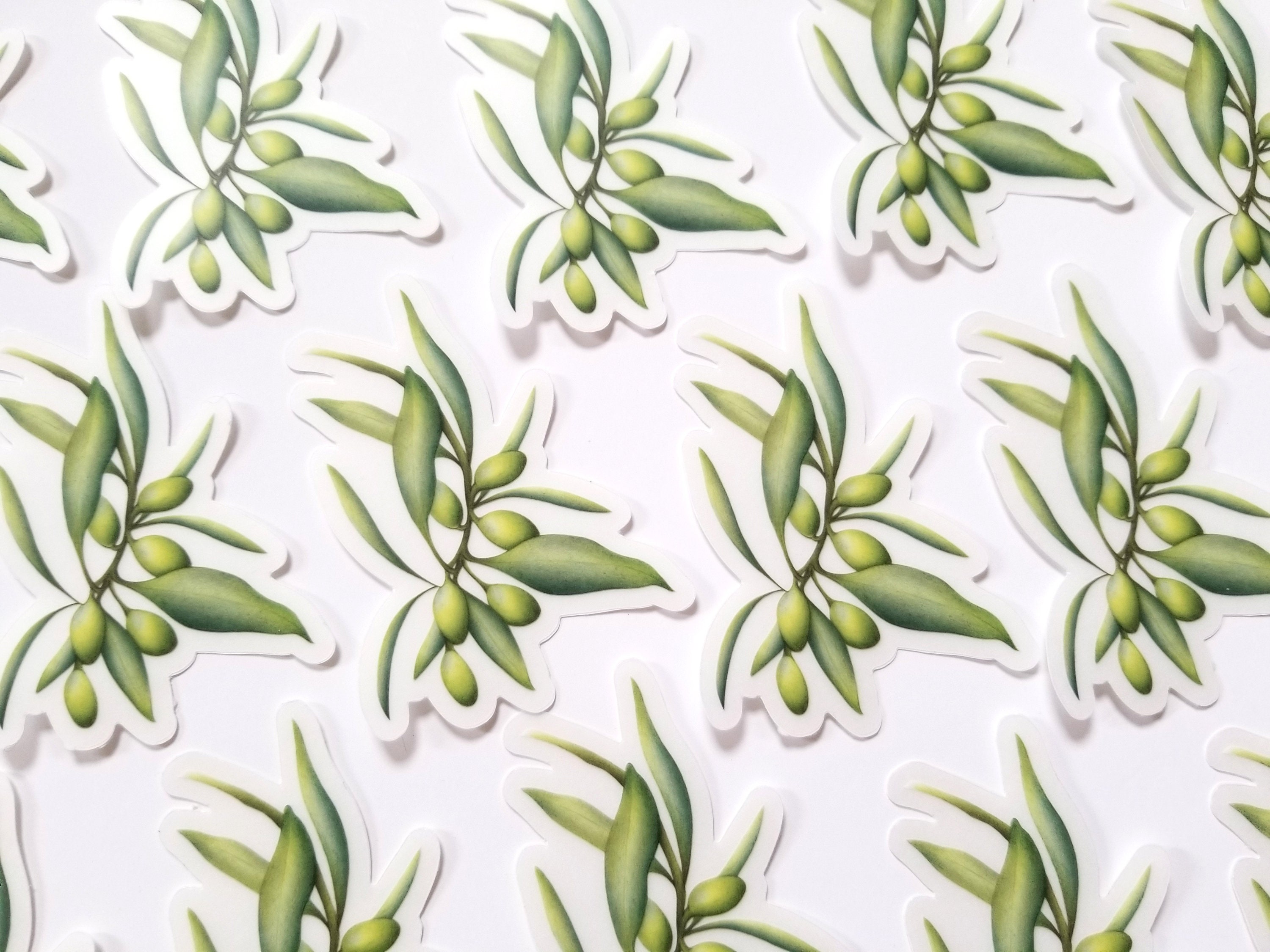 Olive Tree Branch CLEAR Vinyl Sticker, Olive Illustration, Nature ...