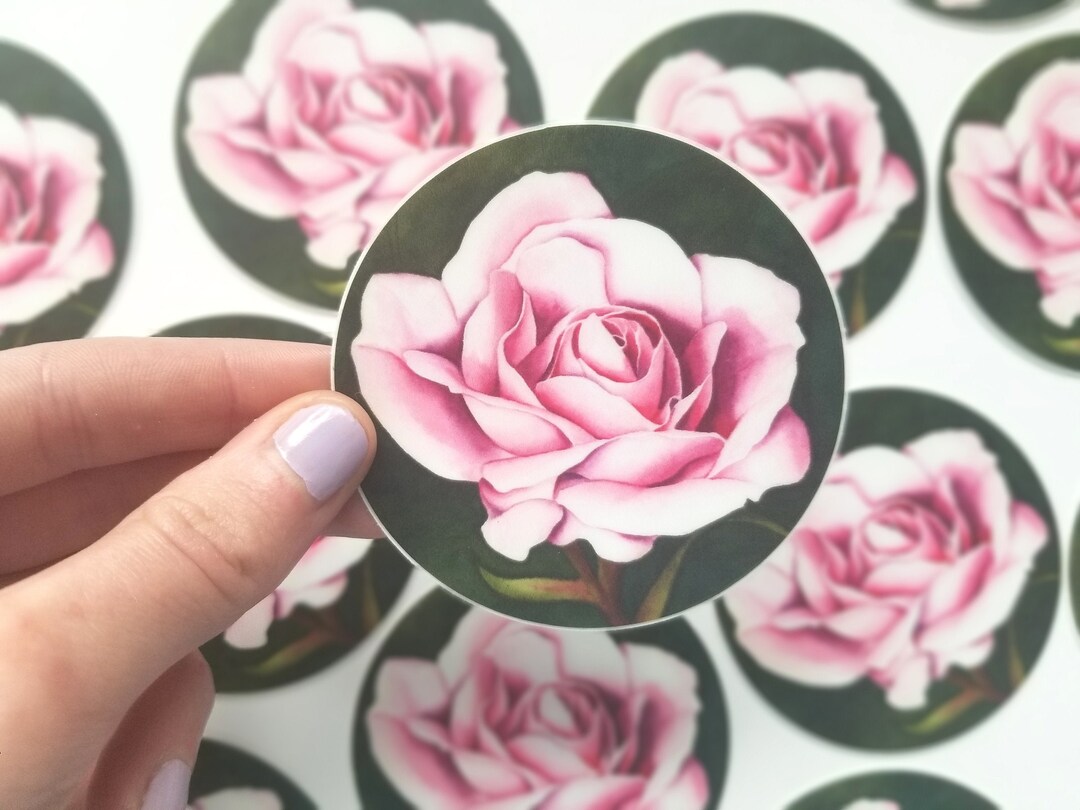 Rose Watercolour Vinyl Sticker, Rose Illustration, Flower Aesthetic ...