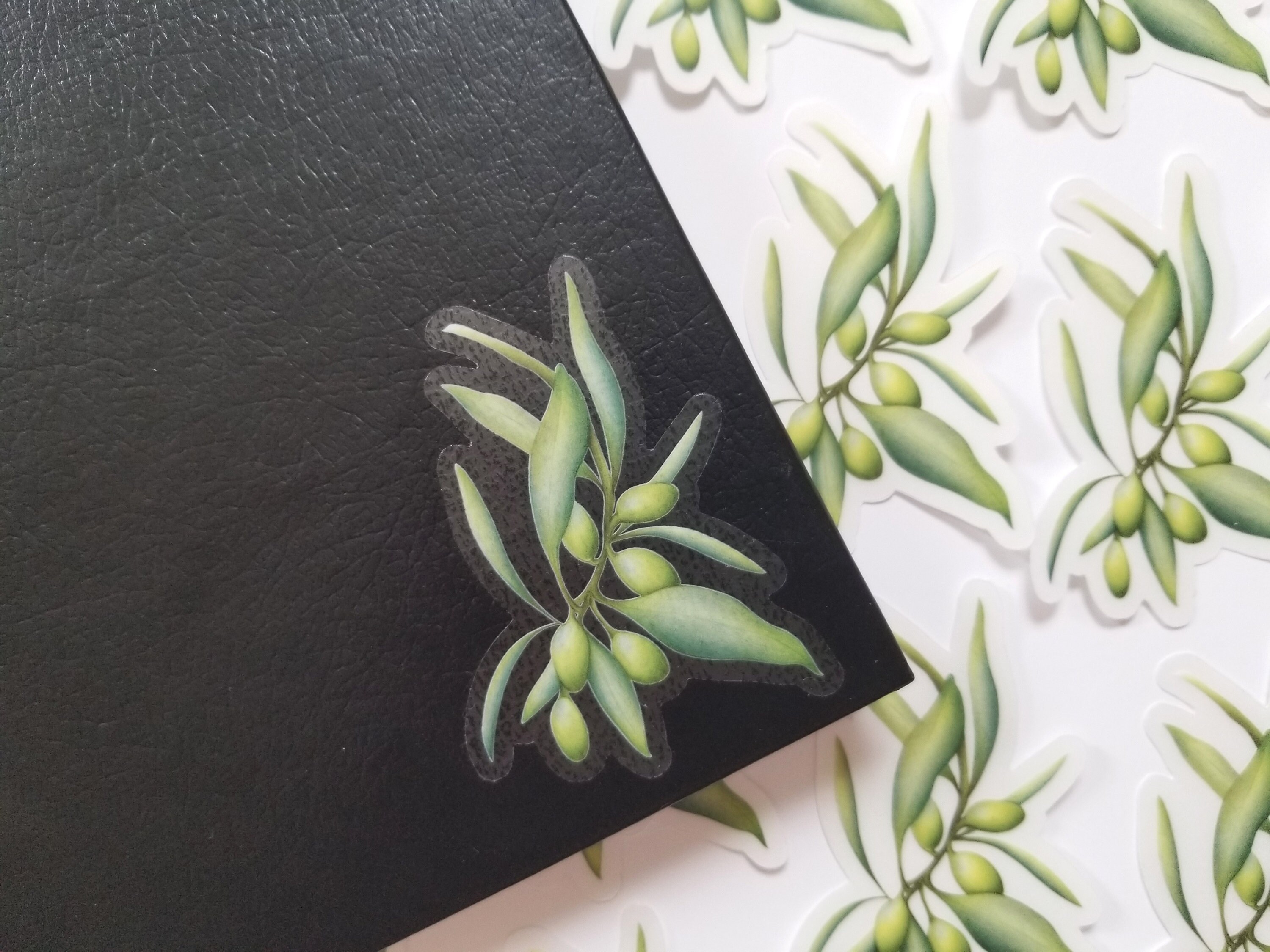 Olive Tree Branch CLEAR Vinyl Sticker, Olive Illustration, Nature ...