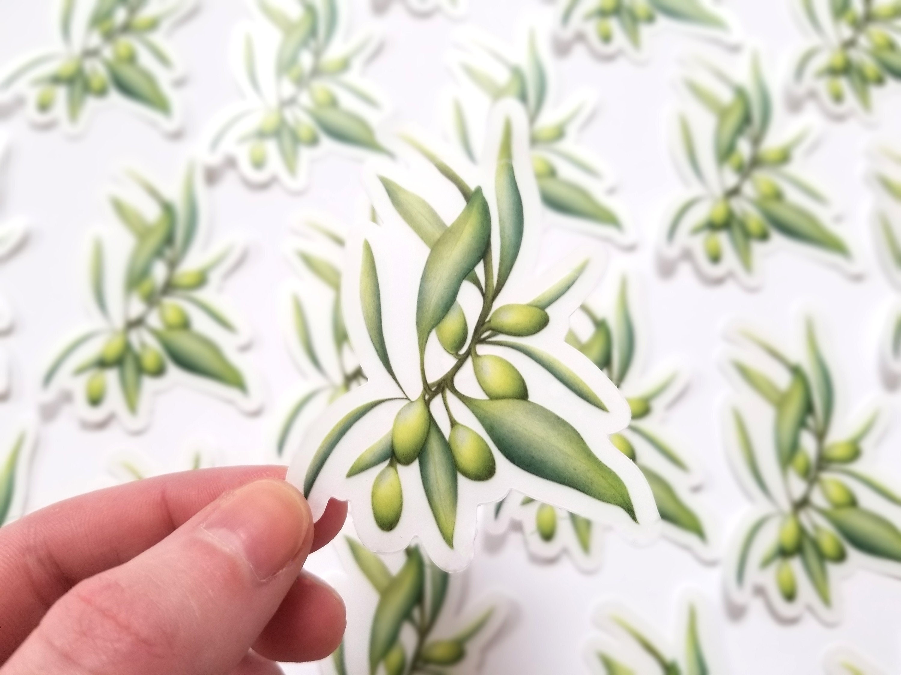Olive Tree Branch CLEAR Vinyl Sticker, Olive Illustration, Nature ...