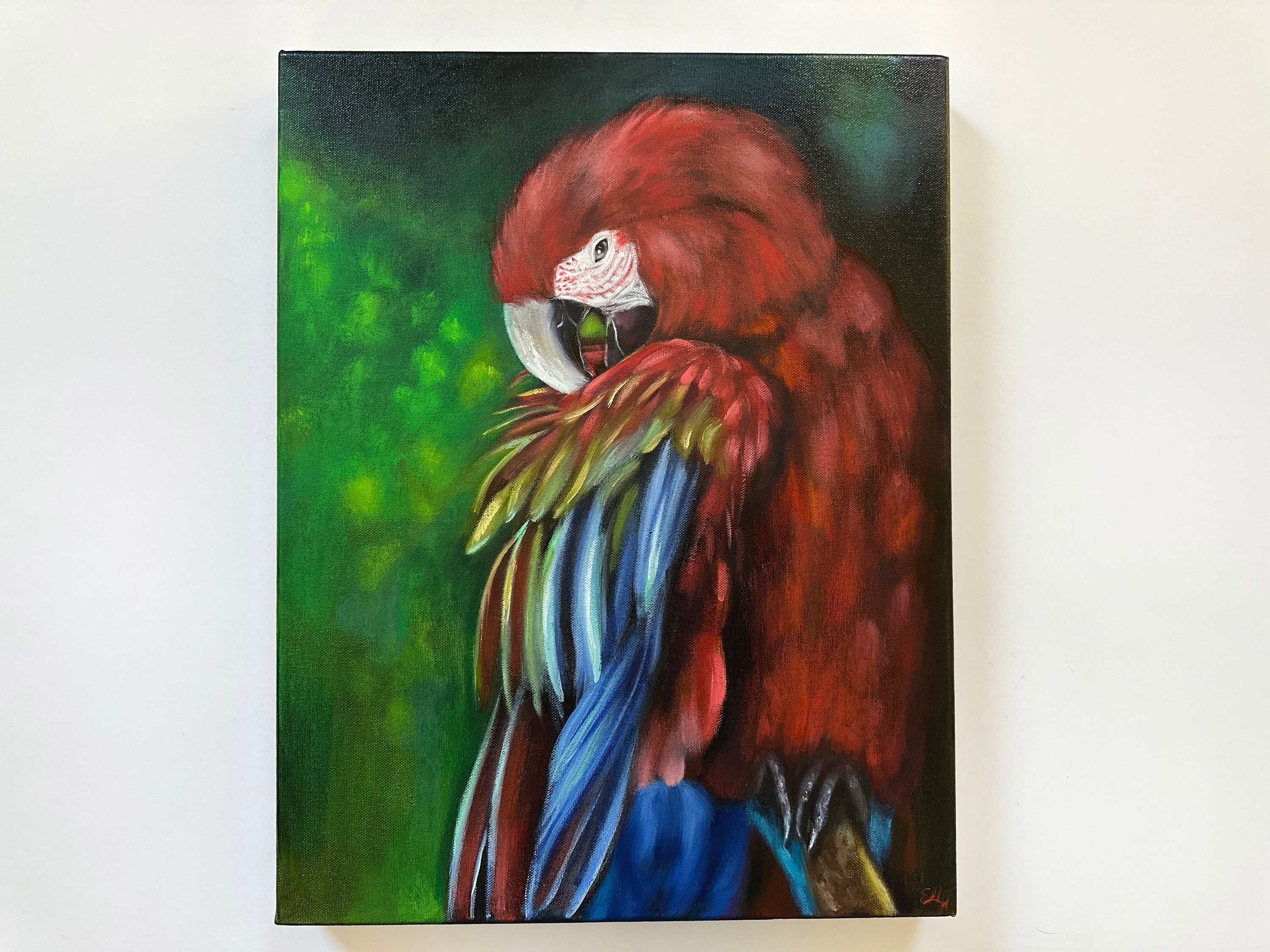 Scarlet Macaw, Oil Painting on Canvas 14x18inch, Wildlife Painting ...