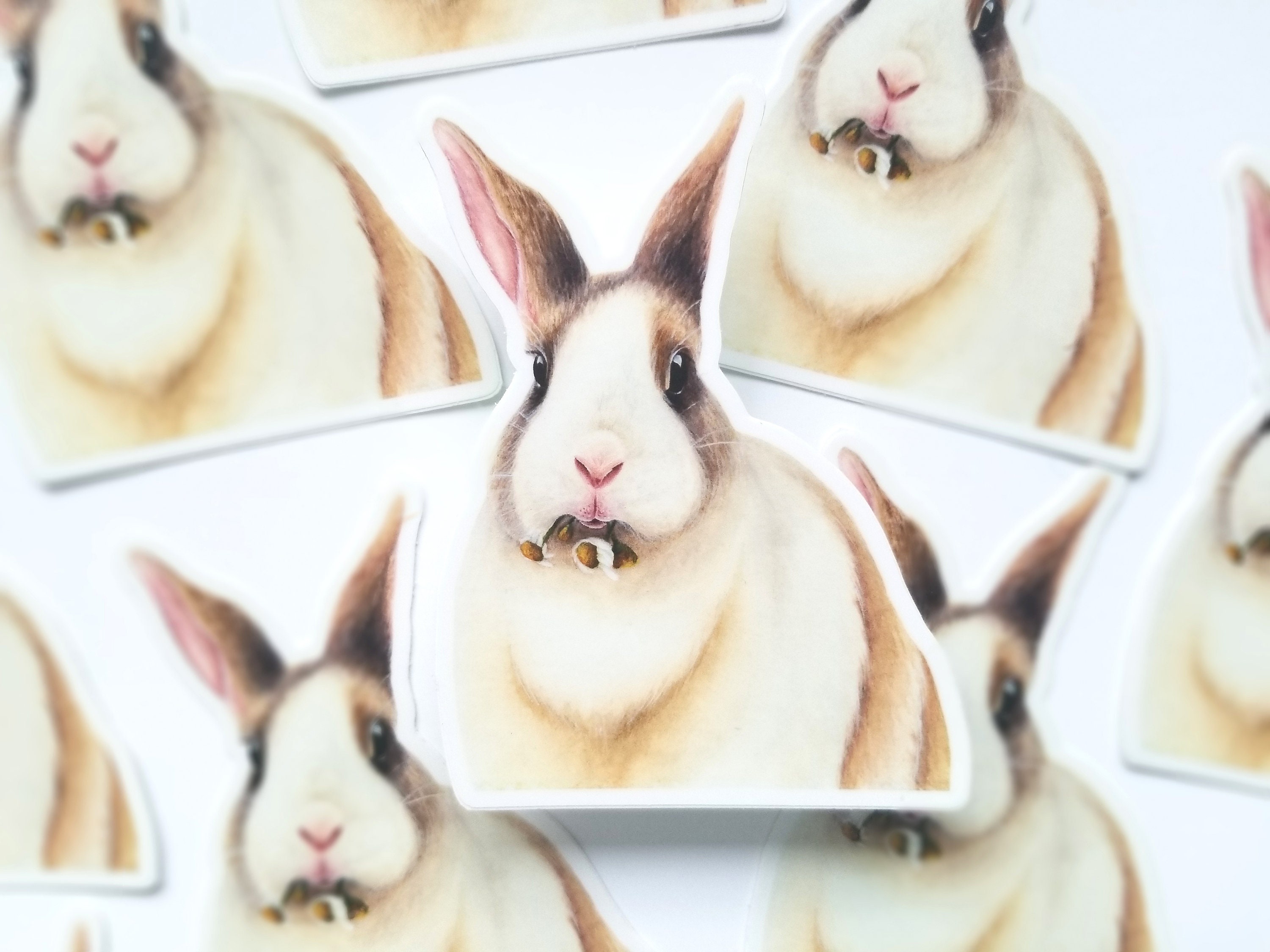 Hase Vinyl Sticker Hase Illustration Natur Ästhetik Die Cut - Etsy.de