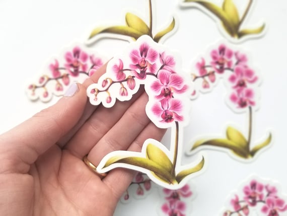 Orchid Vinyl Sticker Botanical Illustration Floral Aesthetic | Etsy