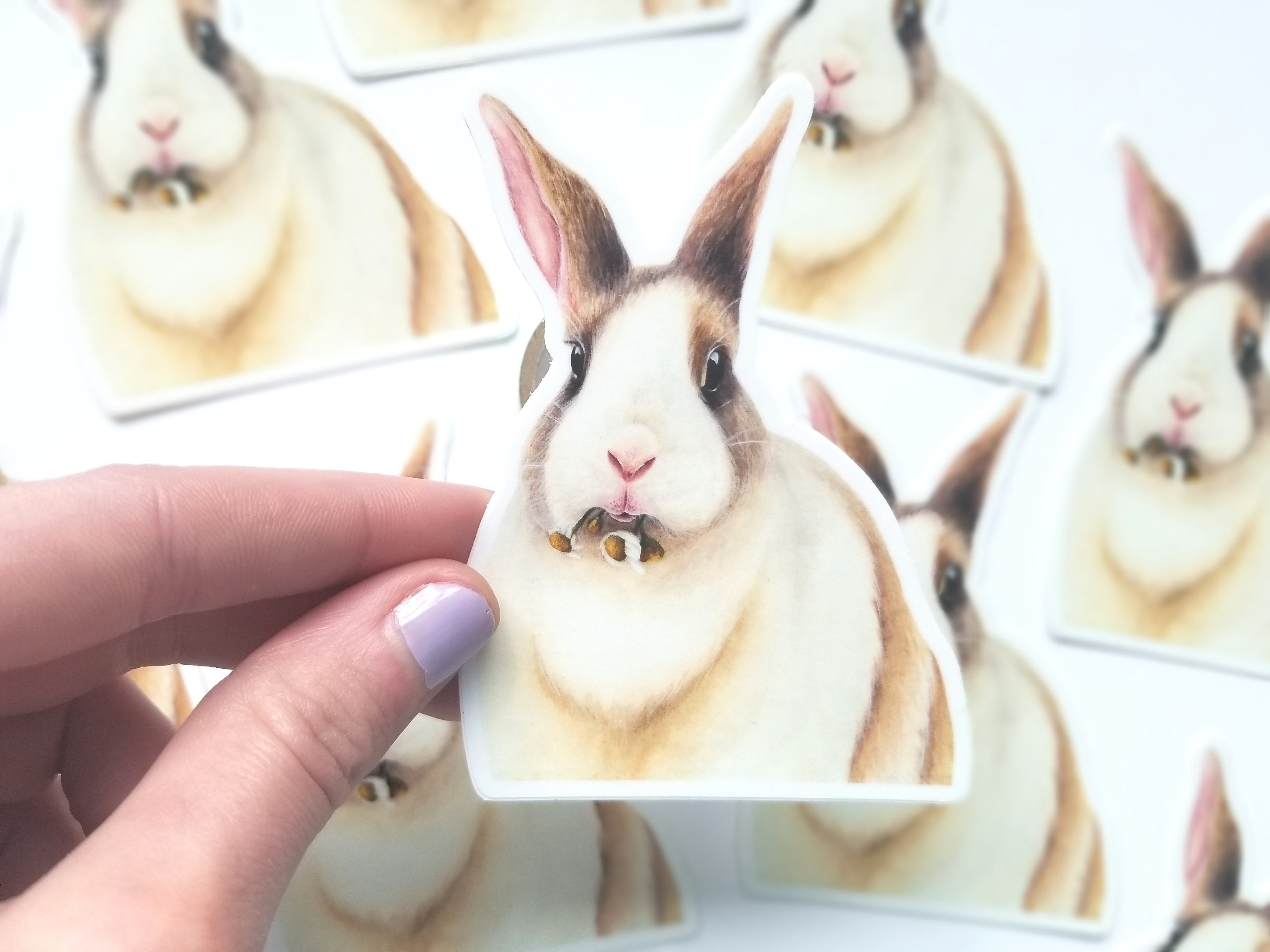 Hase Vinyl Sticker Hase Illustration Natur Ästhetik Die Cut - Etsy.de