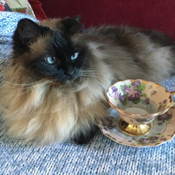 Lefton Violets - Etsy