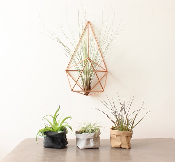 Paper planter Air planters washable paper bags tiny pot | Etsy