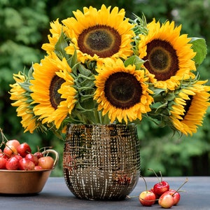 Organic Taiyo Sunflower Seeds, Japanese Taiyo Sunflowers, Large Taiyo ...