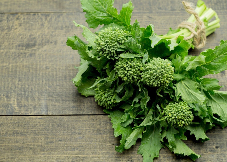 Broccoli Raab Seeds Spring Raab Rapini 300 Seeds // - Etsy