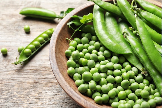 Green Arrow Peas English Shelling Peas 75 Seeds Vine // - Etsy