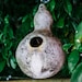 Birdhouse Gourds Seeds Dipper Bottle Gourd 25 Seeds // - Etsy