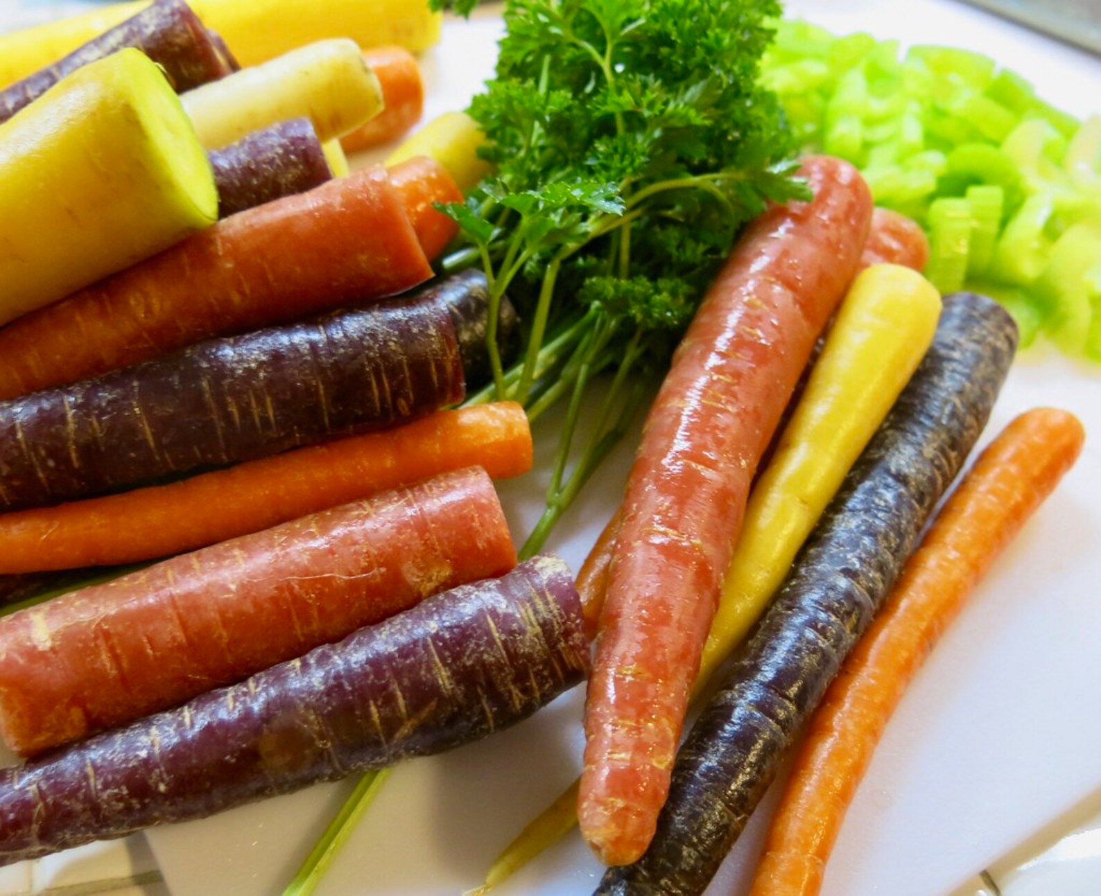 Rainbow Carrots Seeds 500 Seeds Colored Carrot Mix // | Etsy