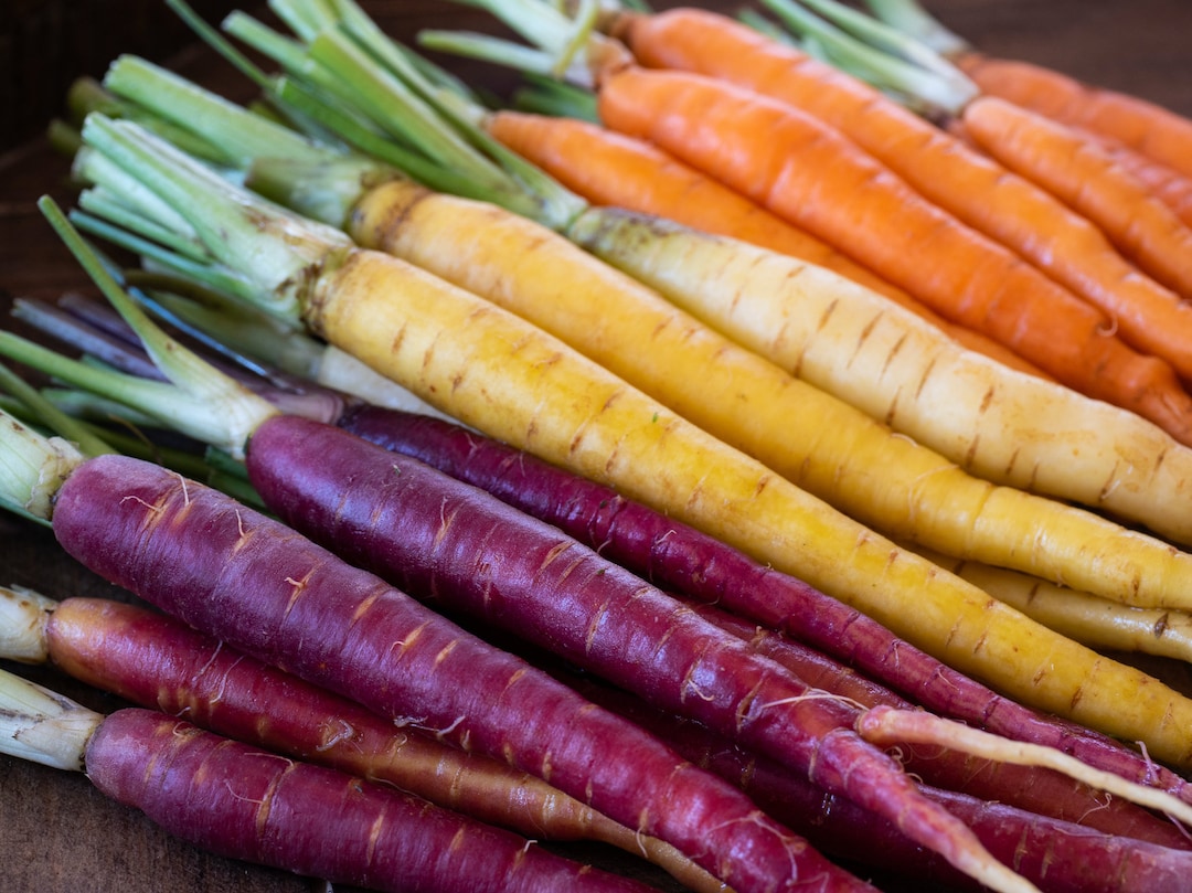 Rainbow Carrots Seeds, 500 Seeds Colored Carrot Mix // Heirloom, Non ...
