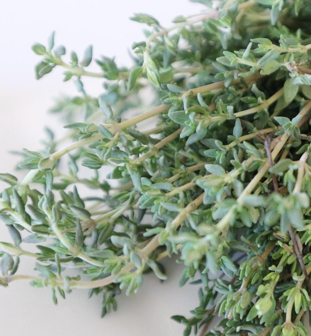 French Thyme Seeds, Summer Thyme // Non-gmo, Heirloom, Open Pollinated, Herb Garden, Thymus ...
