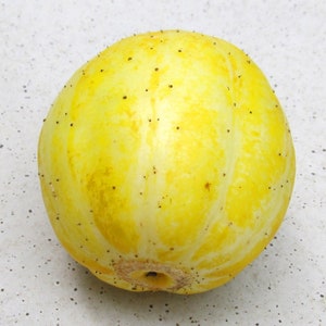 Lemon Cucumber Seeds, Round Yellow Cucumbers // Heirloom, Non-gmo ...
