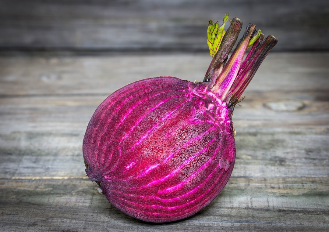 Crosby Egyptian Beet Seeds, Early Producer, Baby Beets, 200 Seeds ...