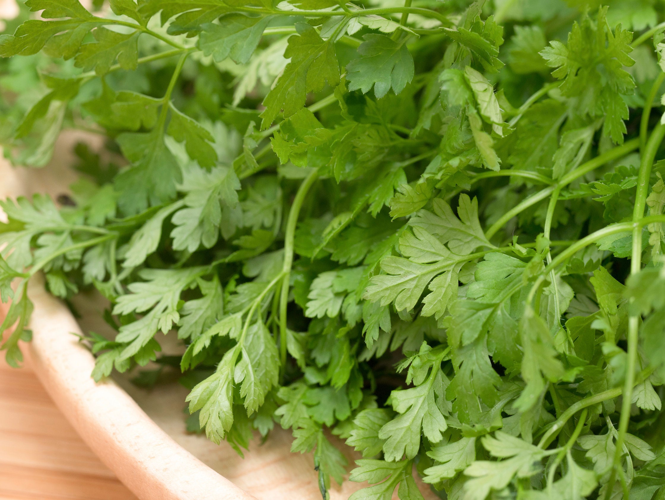 Parsley Seeds In Hindi