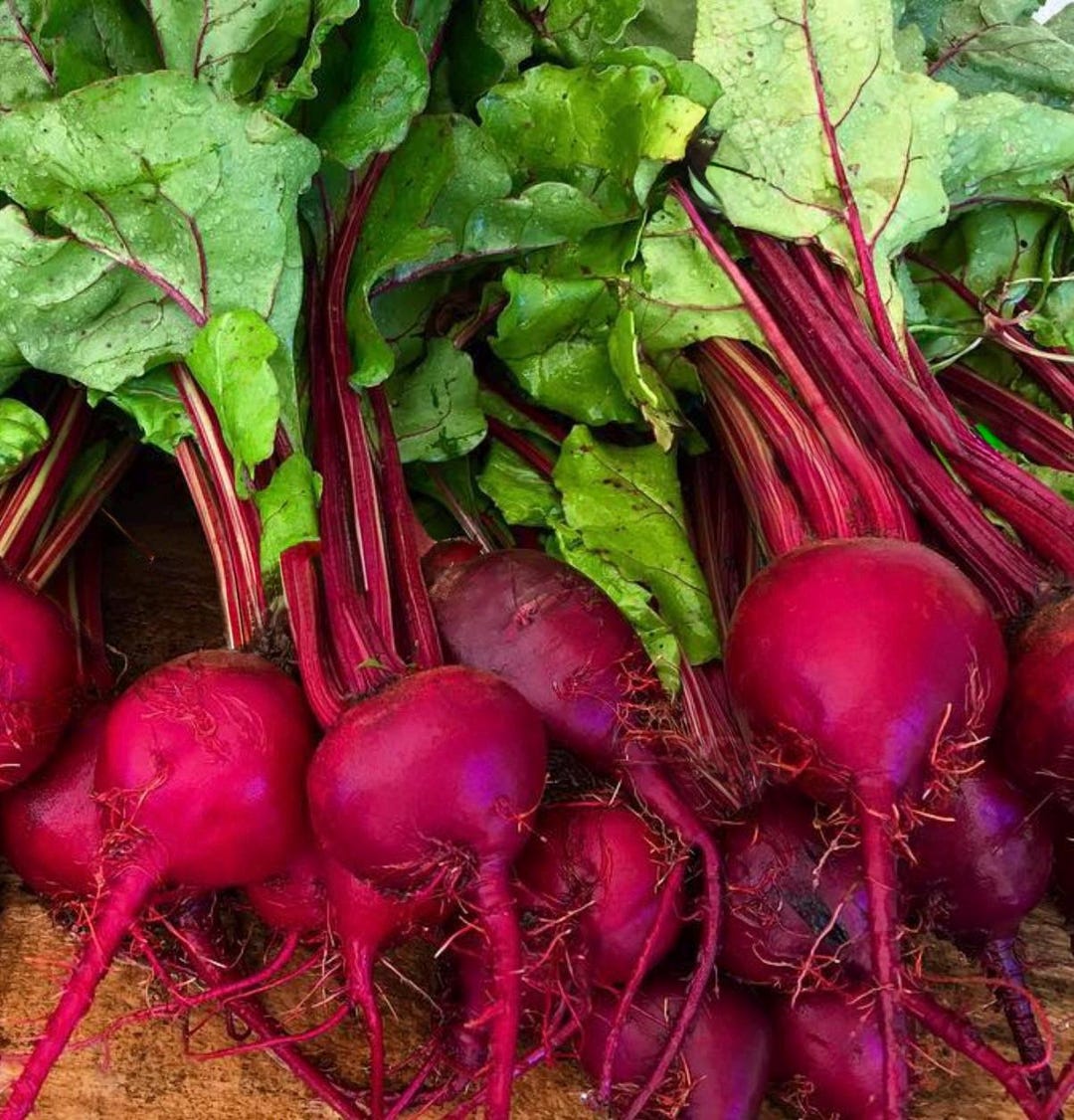 Organic Early Wonder Beet Seeds, Red Beets // Organic, Heirloom, Non ...