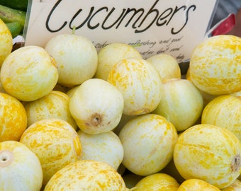 Lemon Cucumber - Etsy