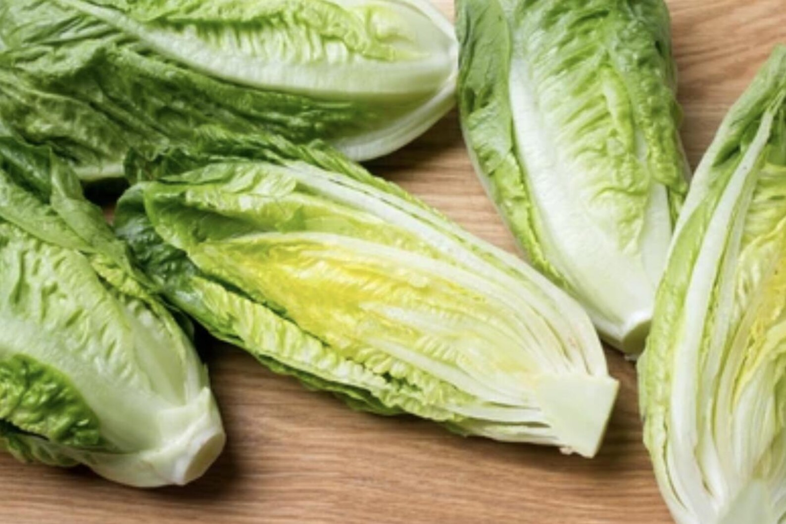 Giant Caesar Romaine Lettuce Seeds, 400 Count Lactuca Sativa - Etsy