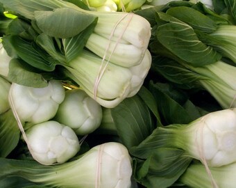 16000 2-OZ Pak Choi Canton Seeds 廣東白菜 / White Stem Bok Choy - Etsy