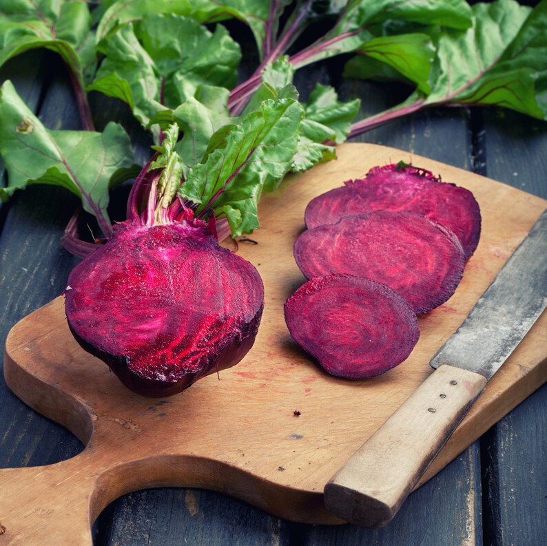Organic Bull's Blood Beet Seeds Red Beets 300 Seeds // - Etsy
