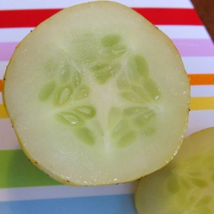 Lemon Cucumber Seeds, Round Yellow Cucumbers // Heirloom, Non-gmo ...